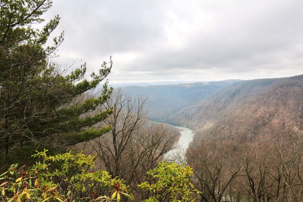 Cheat Canyon in W.Va. permanently conserved - Herald-Standard